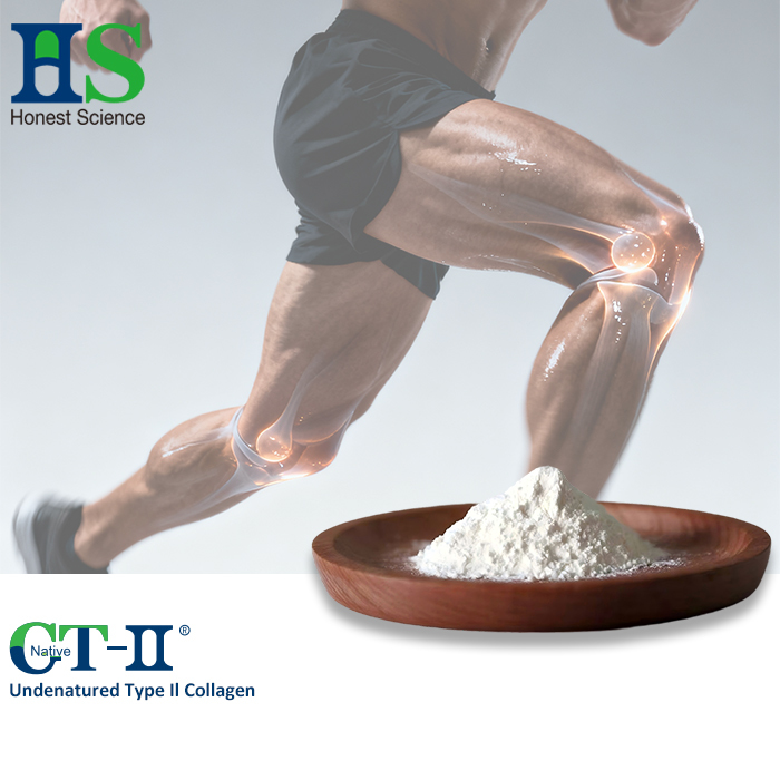 Native CT-II® Undenatured type II collagen Native type II collagen Powder